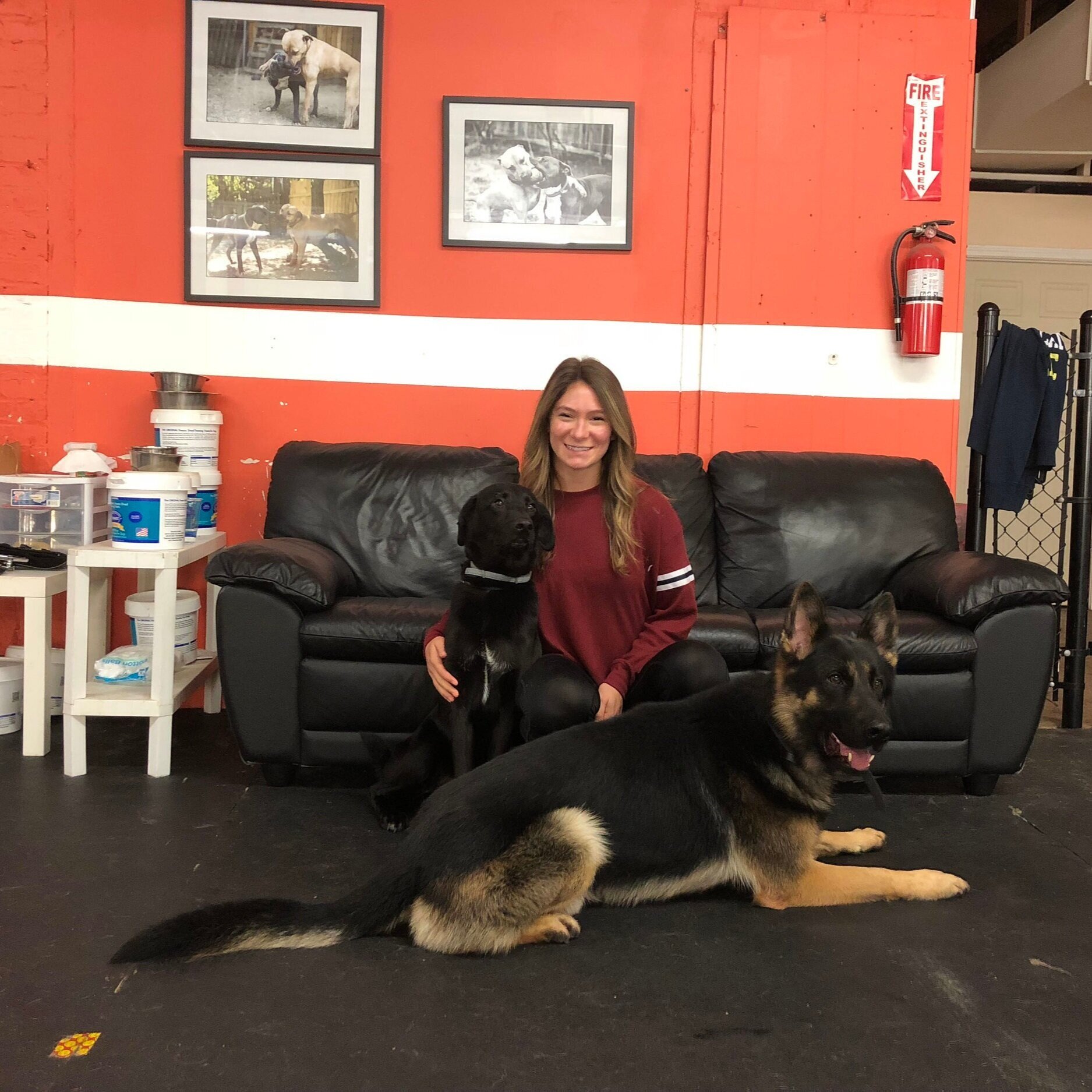 Team | Solid K9 Training