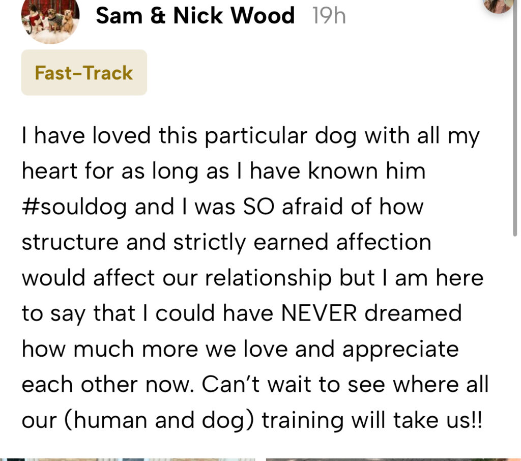 90 Day Fast Track Book a Call Page | Solid K9 Training