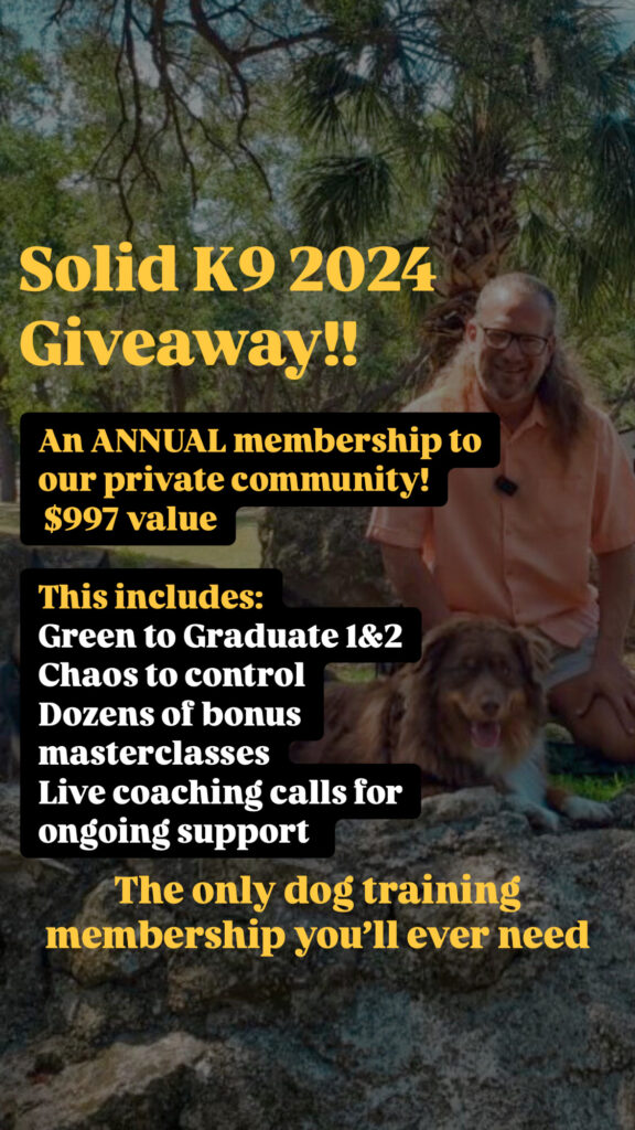 Giveaway | Solid K9 Training