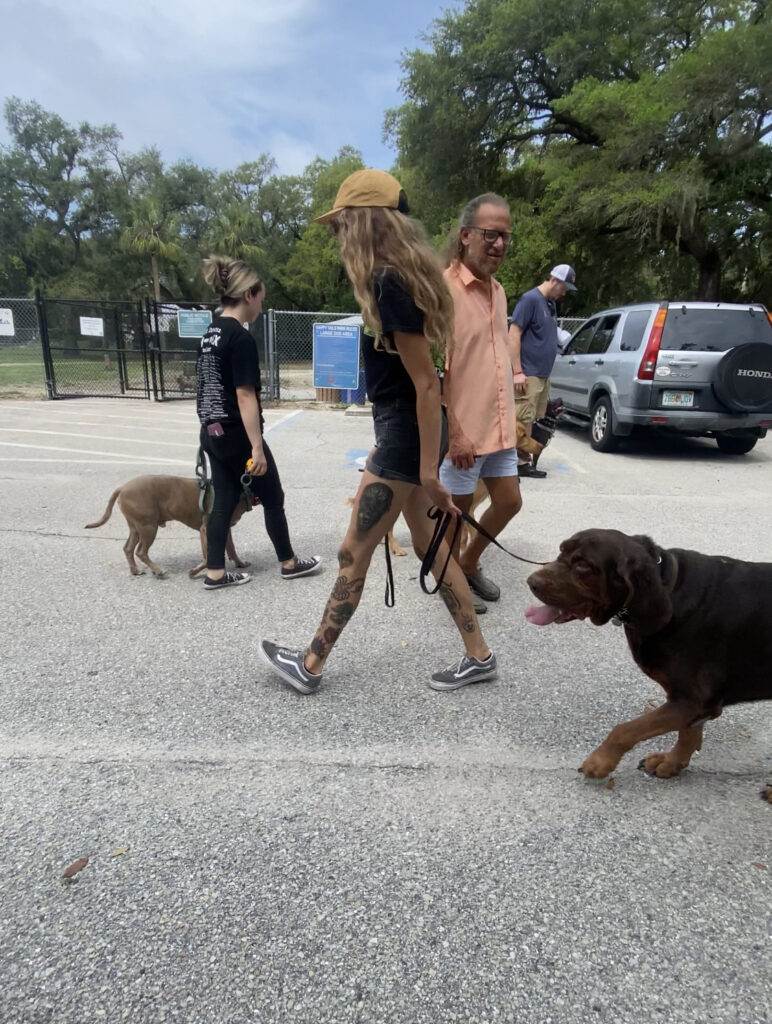 Walk the Walk LIVE Dog Training Workshop (2025.Version 2) | Solid K9 Training